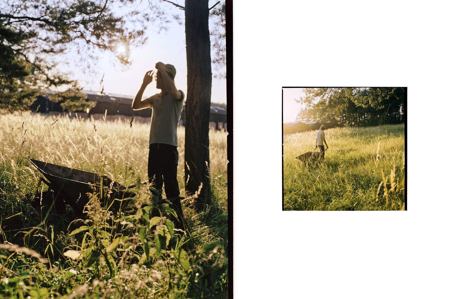 Cornelius von Milkwood | Marcel Koehler